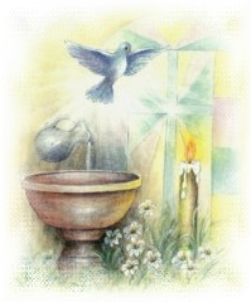 Pastoral do Batismo - Santuário Nossa Senhora de GuadalupeSantuário ...